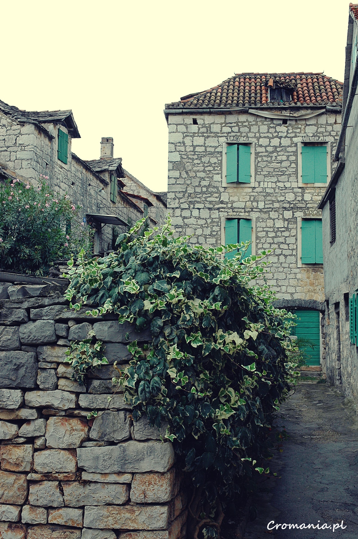 Grohote - wyspa Solta