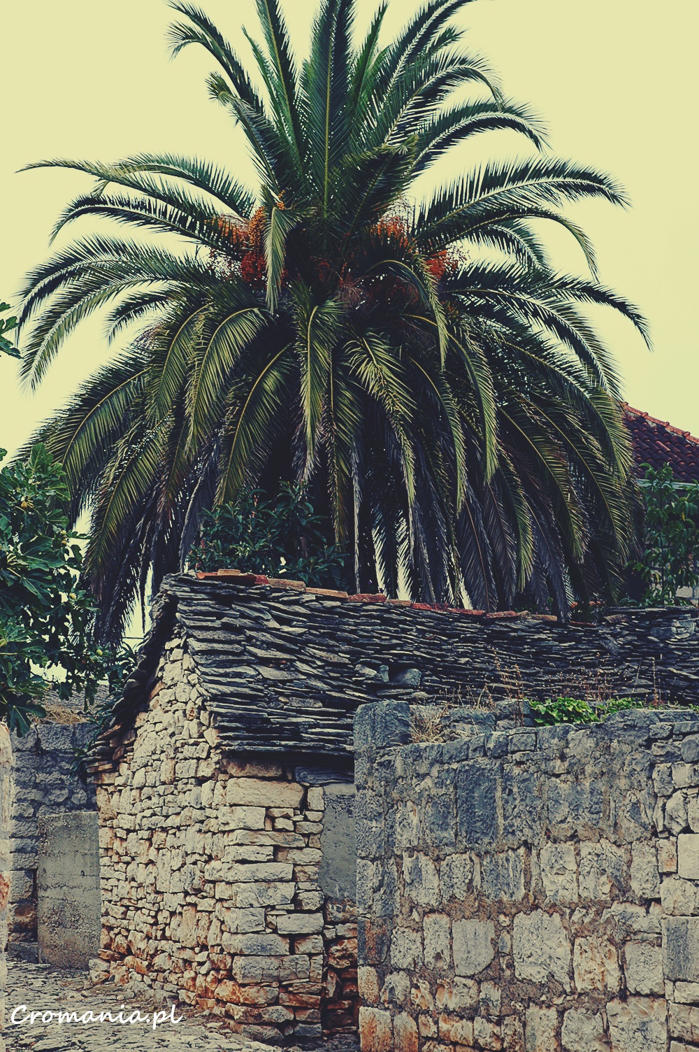 Grohote - wyspa Solta